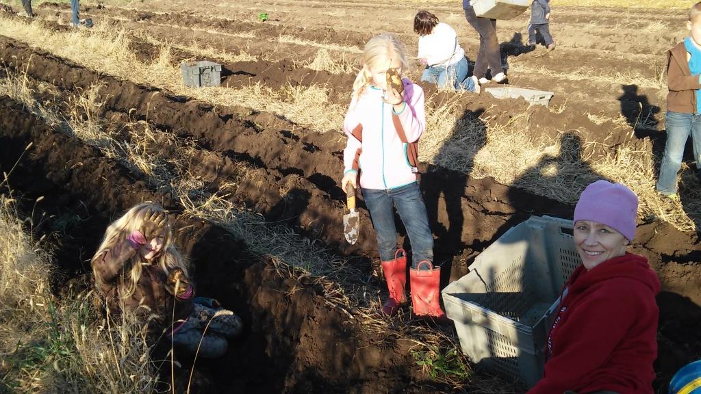 News from the Farm - Fresh Earth Farms - CSA